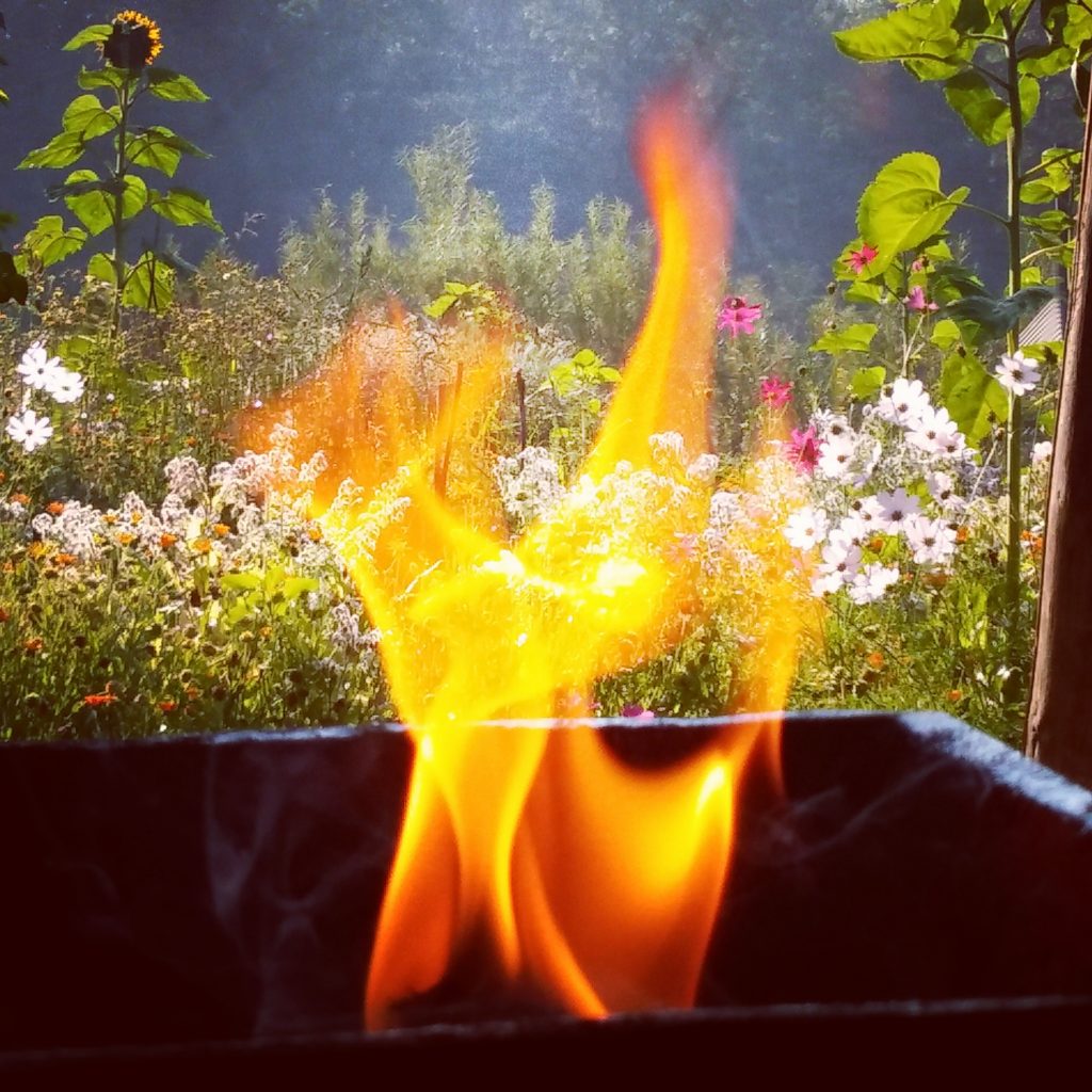 Healing Inside and Out - Orion Transmissions