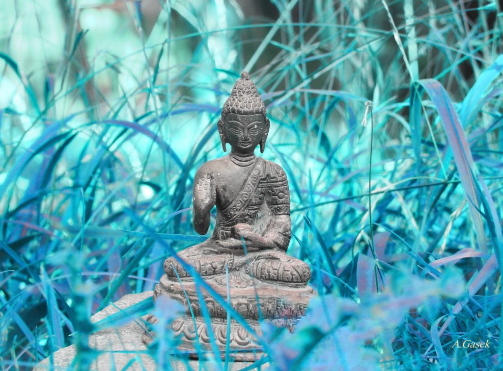 October 2019 - Orion Transmissions